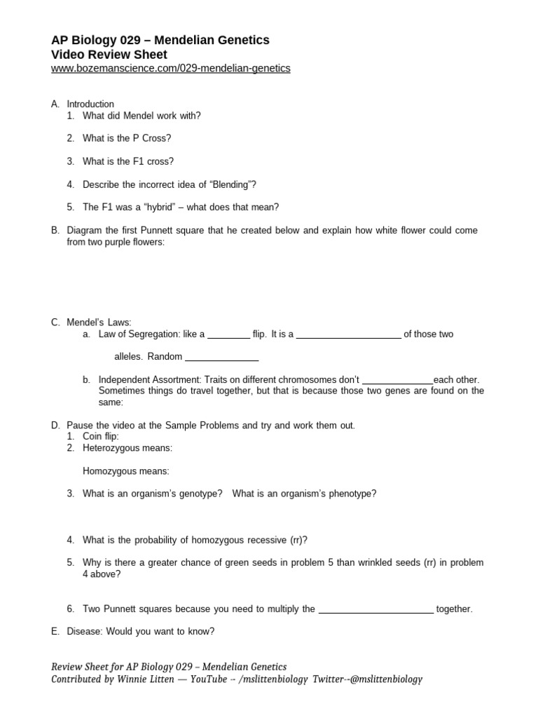 AP Bio-029 Mendelian Genetics Worksheet-WL | PDF