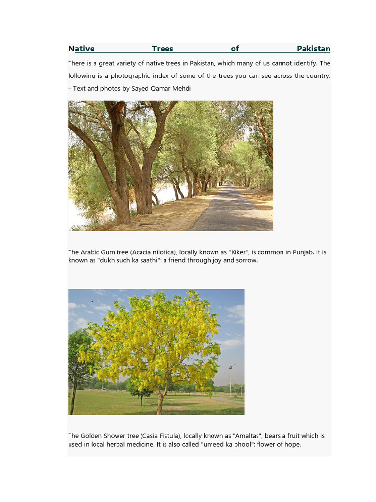 Native Trees of Pakistan: A Guide | PDF