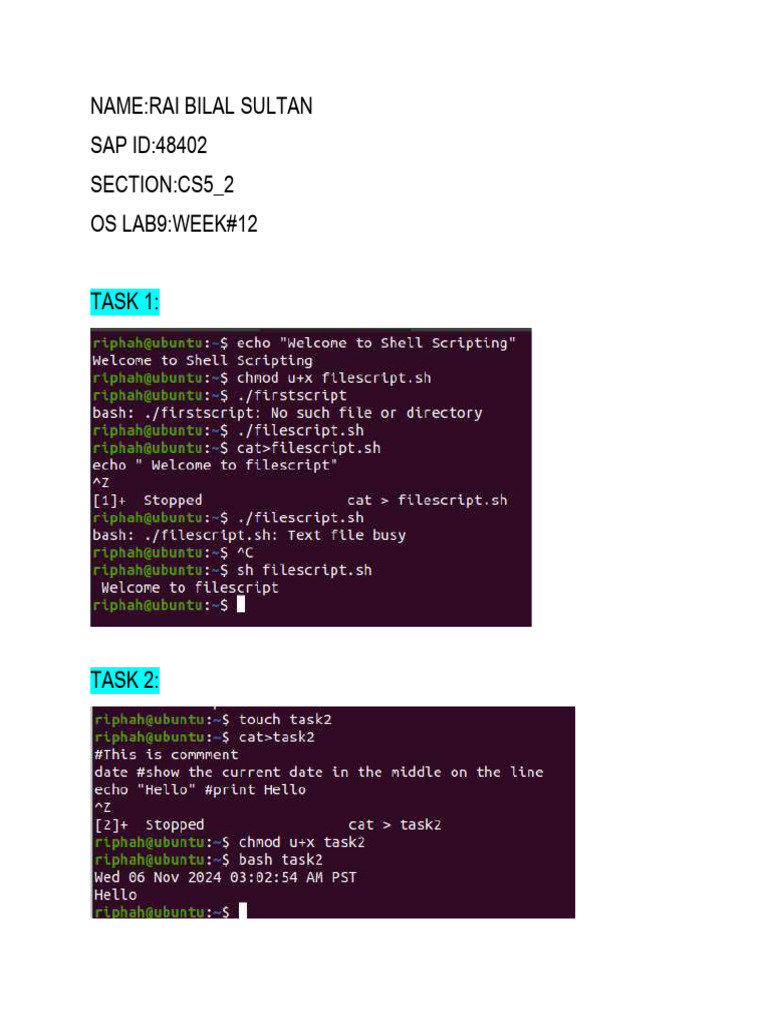 Week#12 Lab Task | PDF