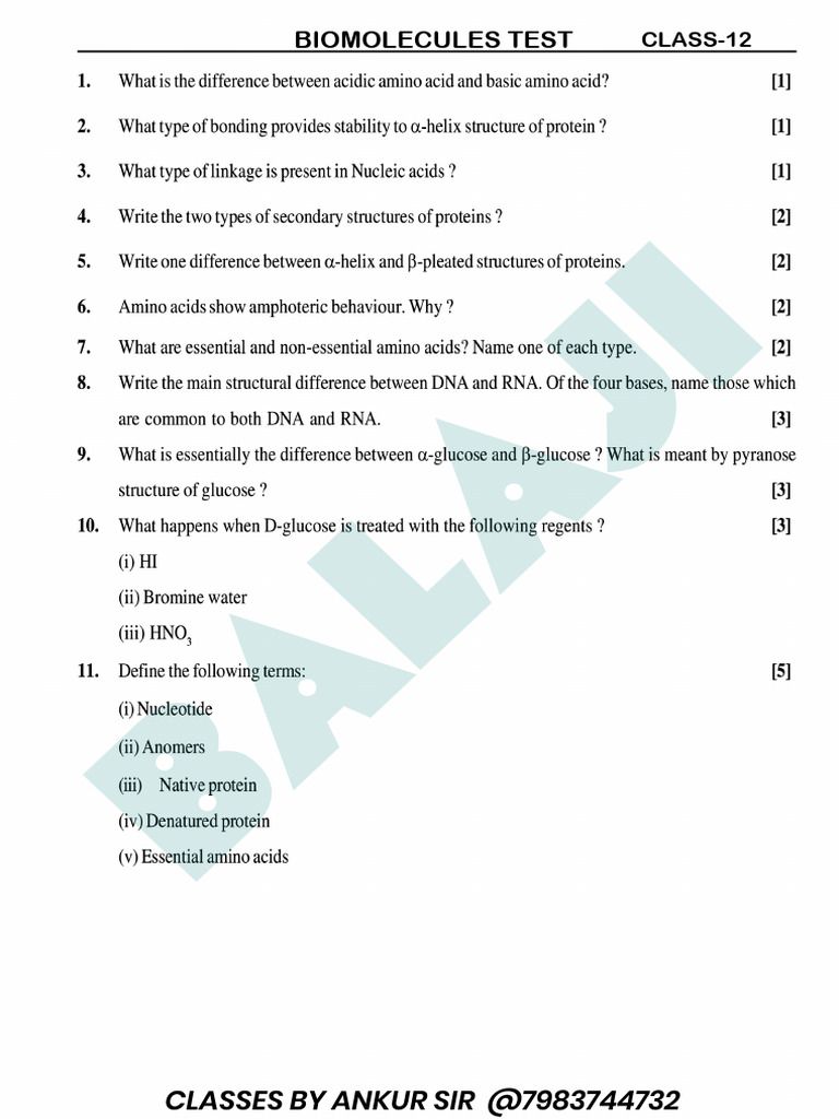 Biomolecules Test Paper | PDF