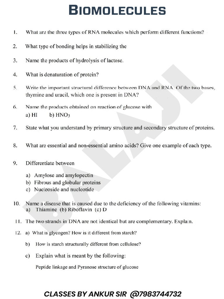 WRKST - (14) Biomolecules | PDF