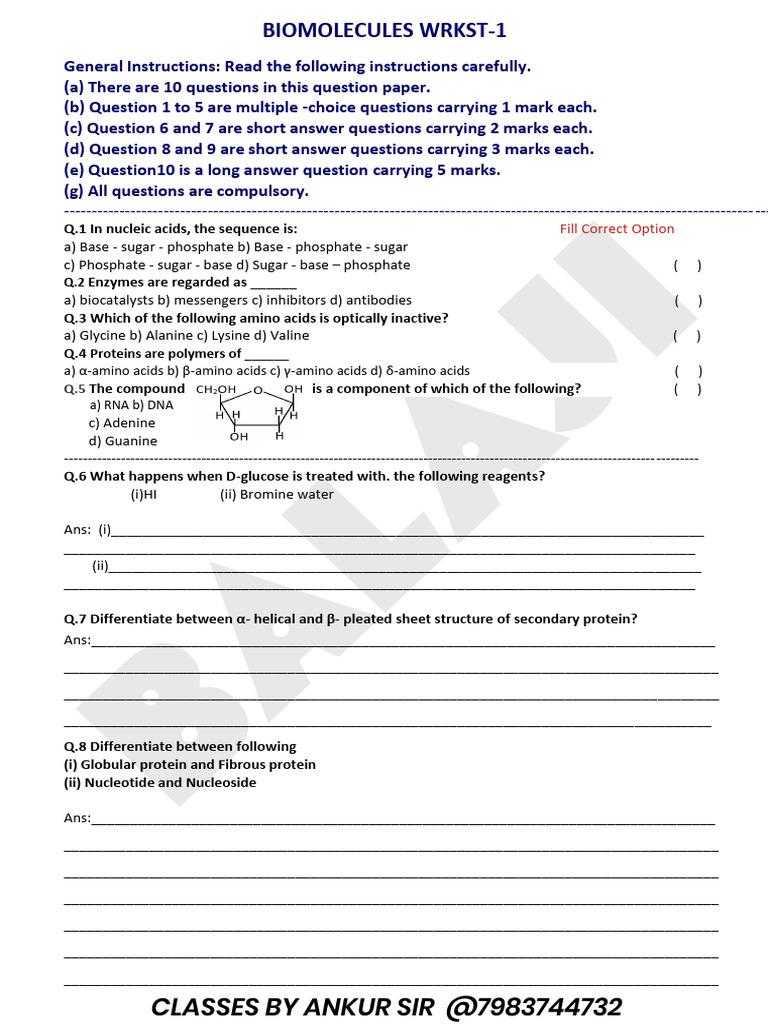 Biomolecules Worksheet-1 | PDF | Biomolecules | Nucleotides