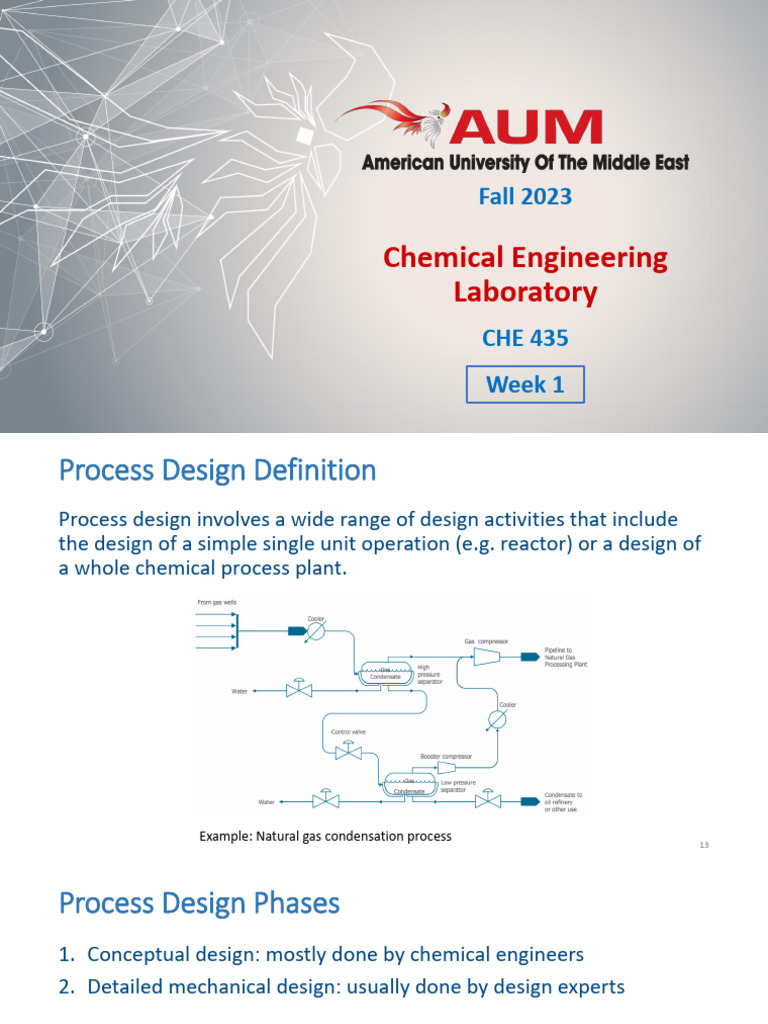 PC Lab (Introduction To Process Design) | PDF | Chemical Reactor ...