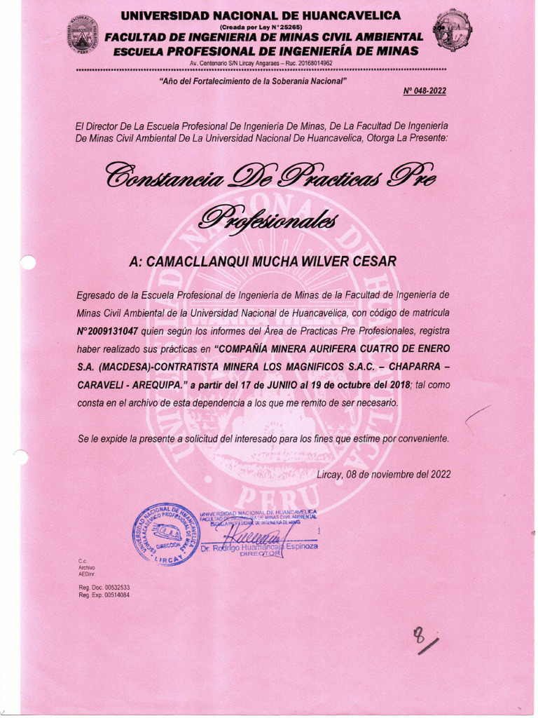 Constancia de Practicas Profesionales | PDF