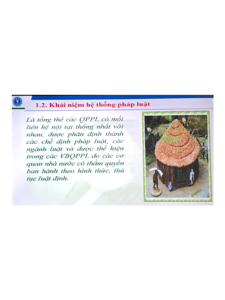 Trong Các VBQPPL Do Các Co | PDF