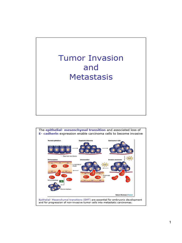 Tumor Invasion Metastasis | PDF | Metastasis | Diseases And Disorders