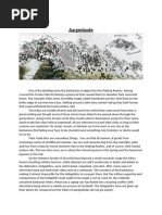 Orcish Language and Dictionary 5E | PDF | Social Science