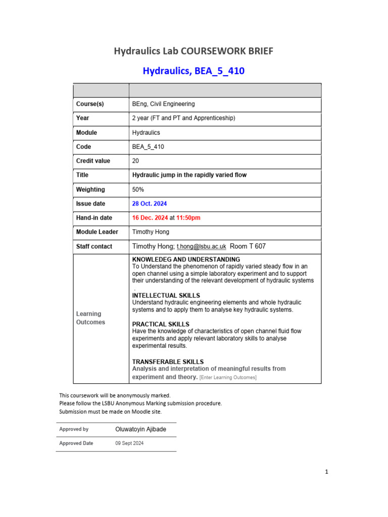 Hydraulics Lab Coursework Overview | PDF | Scheme (Programming Language) | Theory