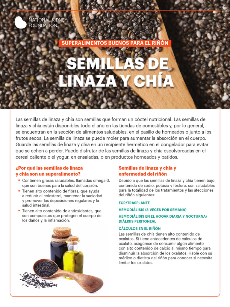 Recetas Con Chia y Linaza | PDF | Linaza