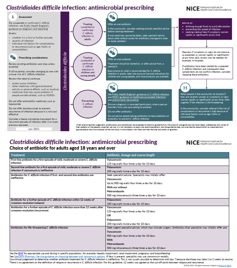 Visual Summary PDF 9194639149 | PDF | Infection | Health Sciences