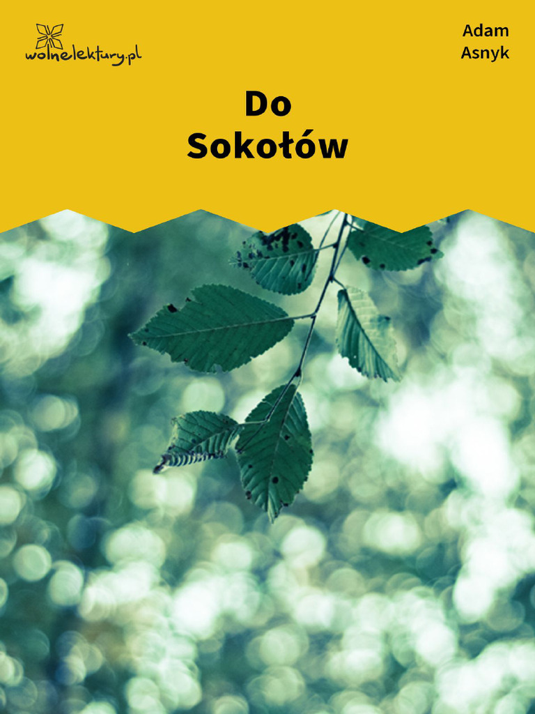 Asnyk Do Sokolow | PDF