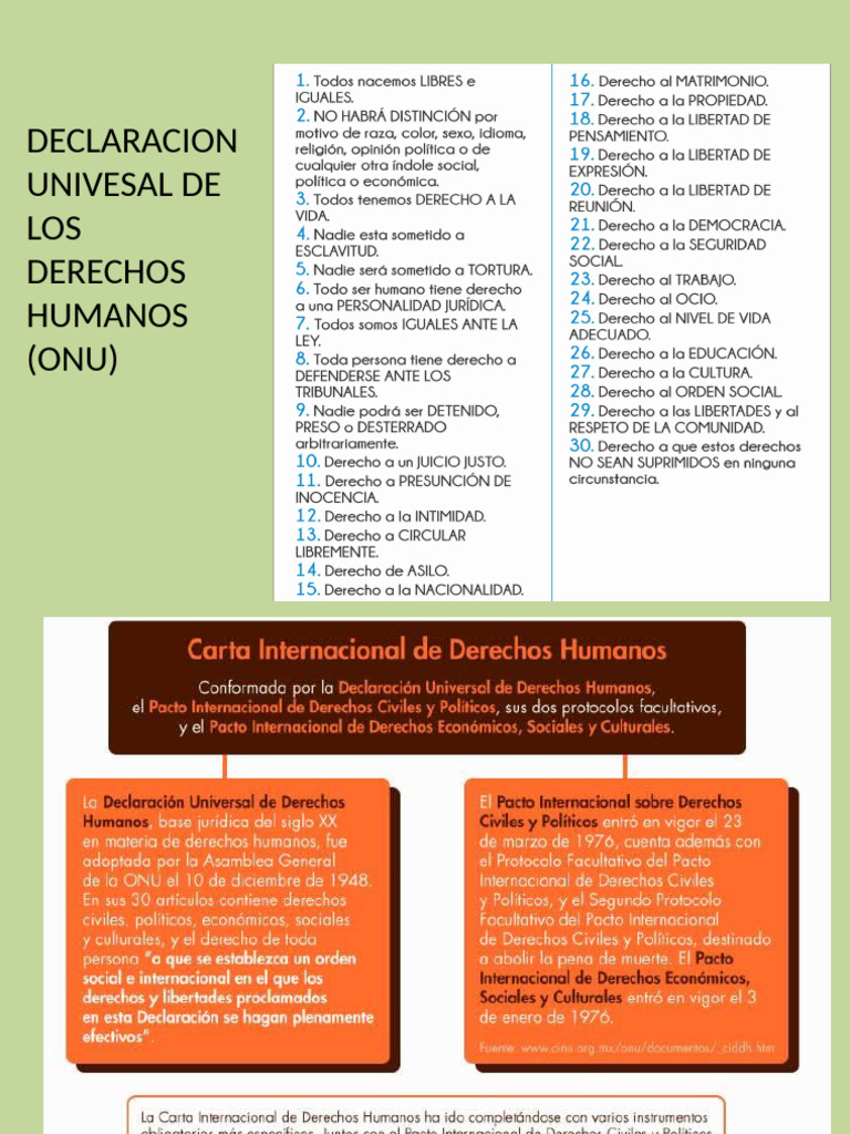 Principios de Derechos Humanos y Democracia | PDF | Democracia | Ideologías políticas