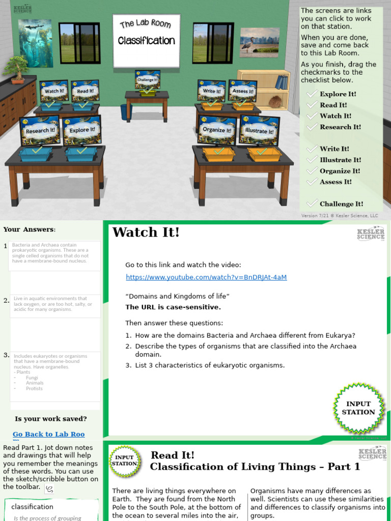 Classification Station Lab Digital Interactive | PDF | Eukaryotes ...