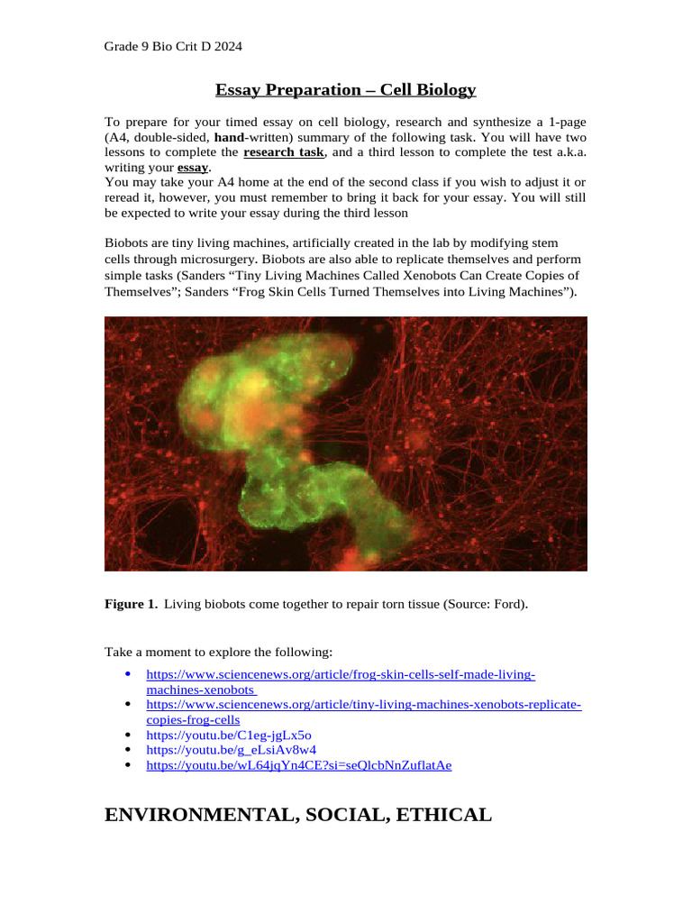 2024 Grade 9 Biology Criterion D-Cells-RESEARCH TASK 1 Final | PDF ...