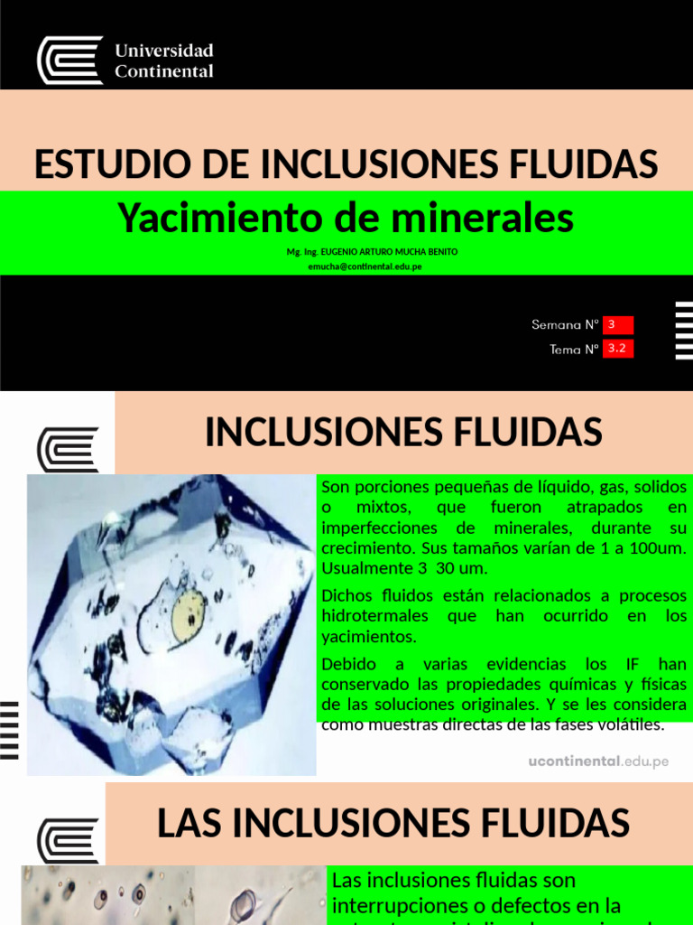 Estudio de Inclusiones Fluidas en Minerales | PDF | Minerales | Líquidos