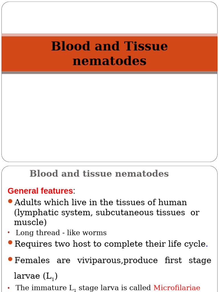 5.2. Blood and Tissue Nematodes Class | PDF | Epidemiology | Causes Of ...