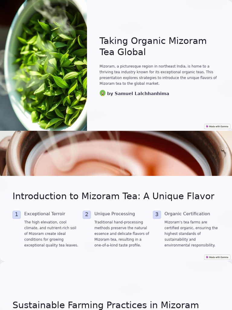 Expanding Global Reach of Mizoram Tea | PDF | Sustainable Agriculture | Tea