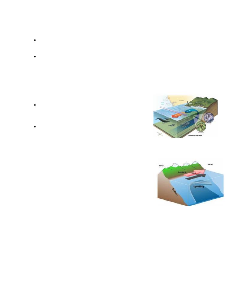 Upwelling Notes Outline & Activity-1 | PDF