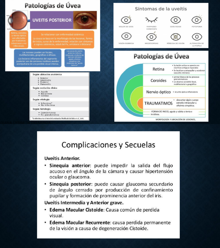 Diana Lysbeth CigarroA | PDF