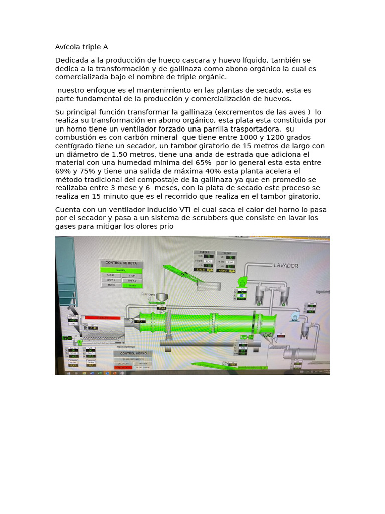 Producción y Transformación en Avícola Triple A | PDF