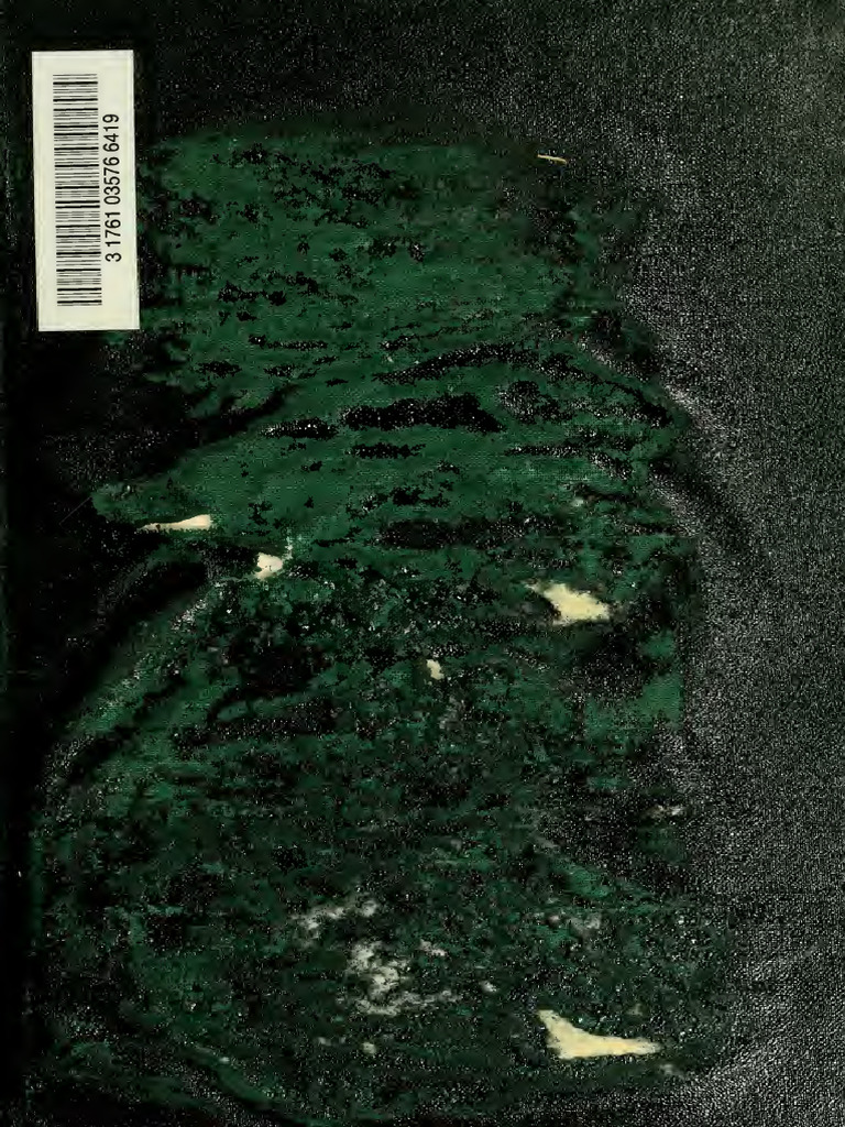 De Verborum Significatione | PDF