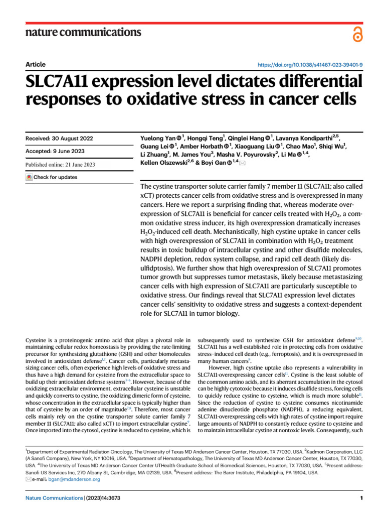 SLC7A11 Expression Level Dictates Differential Responses To Oxidative ...