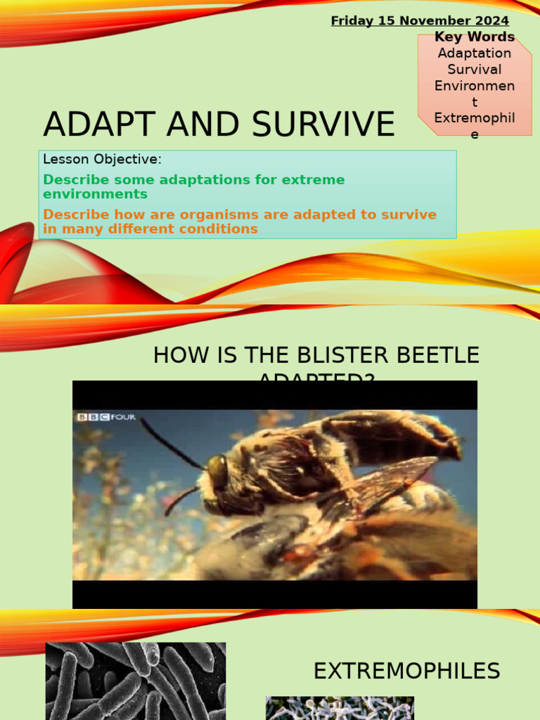 Competition in Plants | PDF | Whales | Salinity