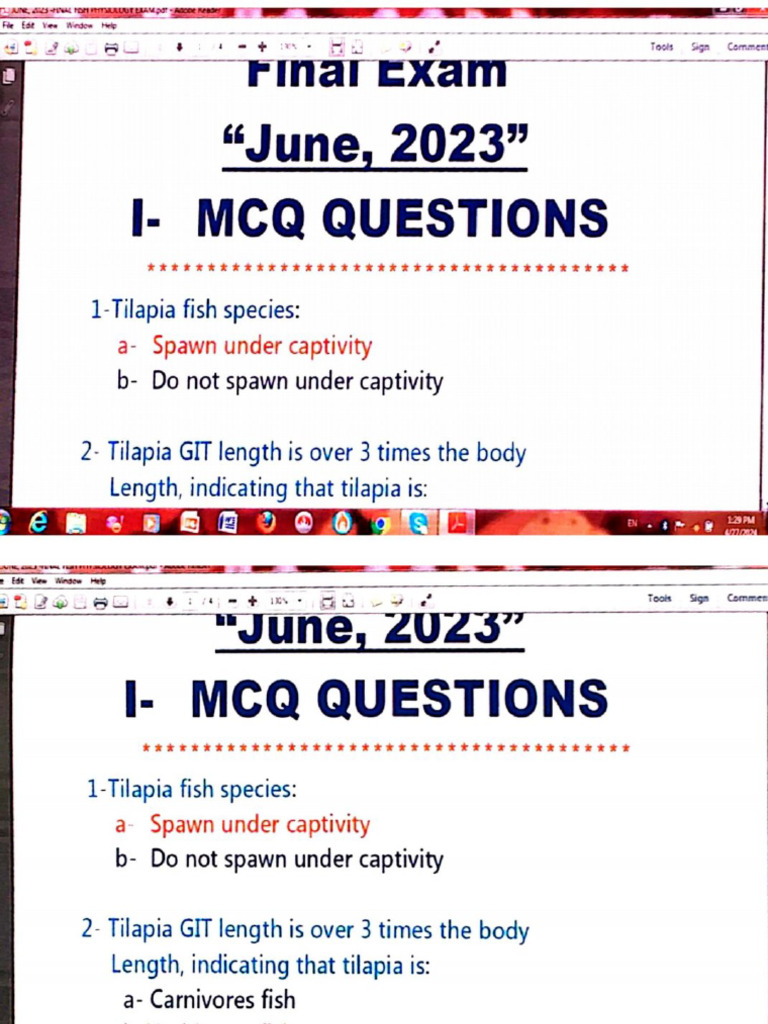 Fish Question 2023 | PDF