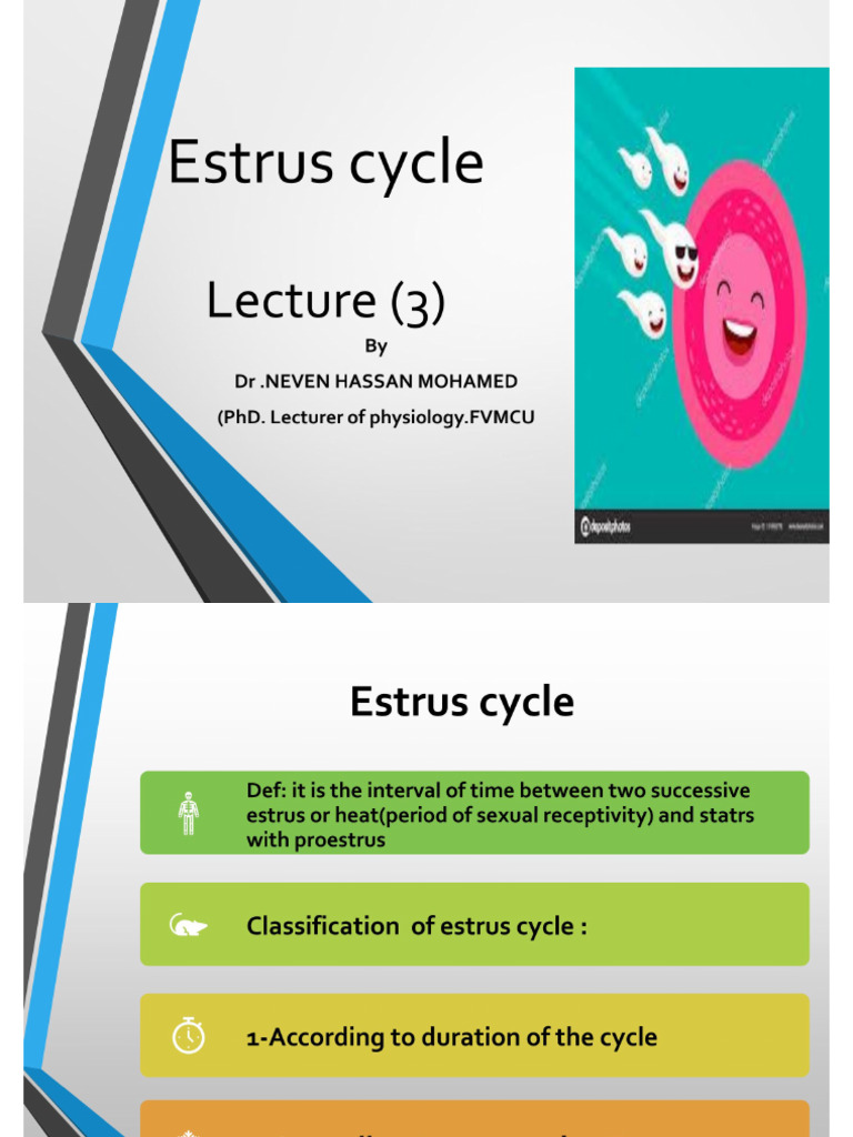 Female Lec3 2024 | PDF