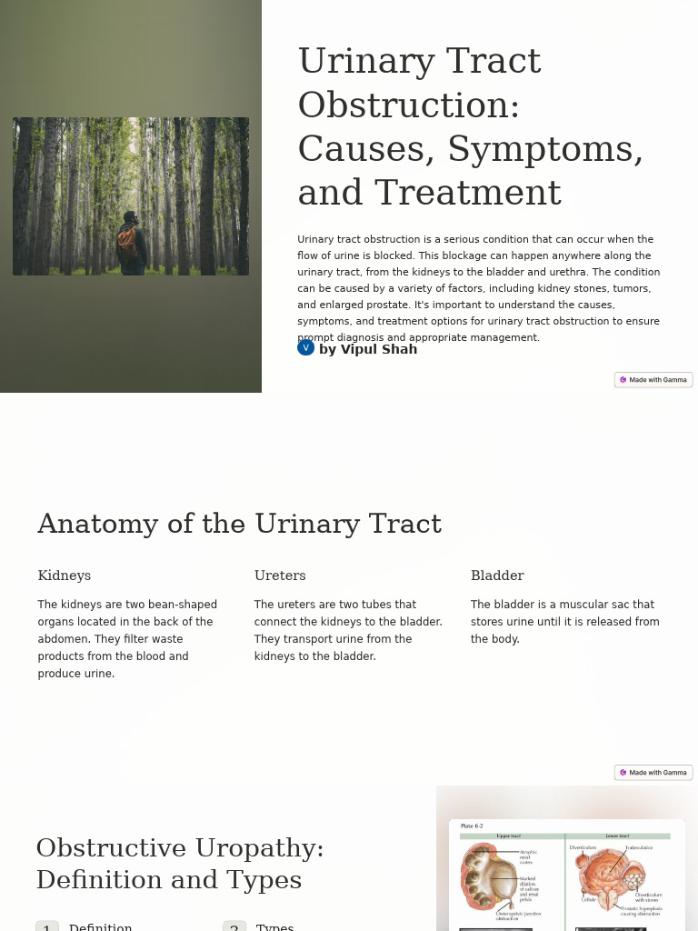 Urinary Tract Obstruction Causes Symptoms and Treatment | PDF | Urinary ...