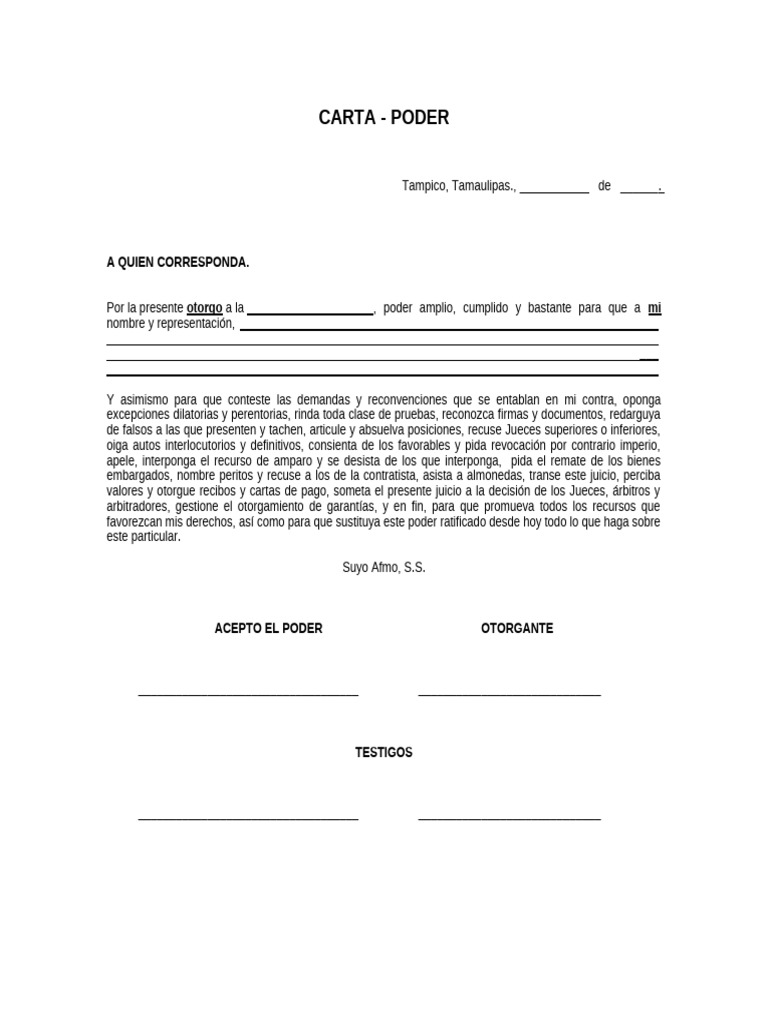 Carta Poder Legal en Tampico | PDF