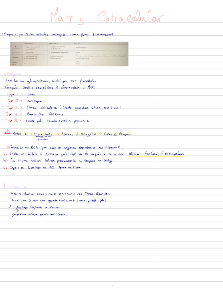 matriz extracelular | PDF