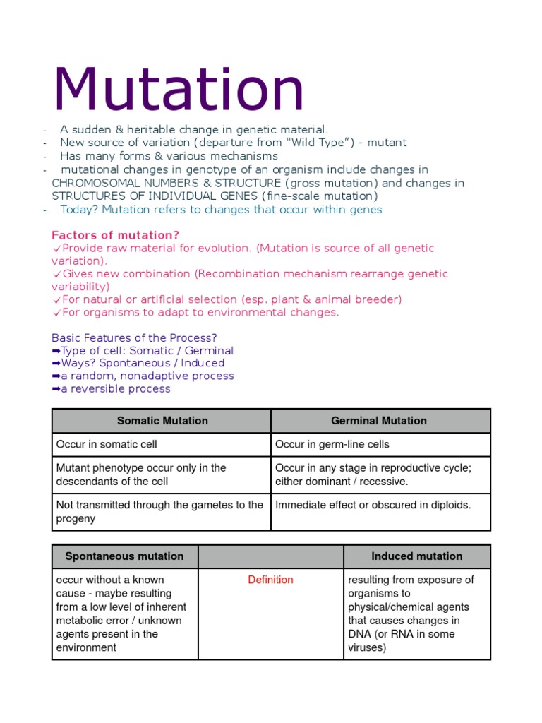 Mutation: - Today? Mutation Refers To Changes That Occur Within Genes | PDF | Mutation | Ploidy