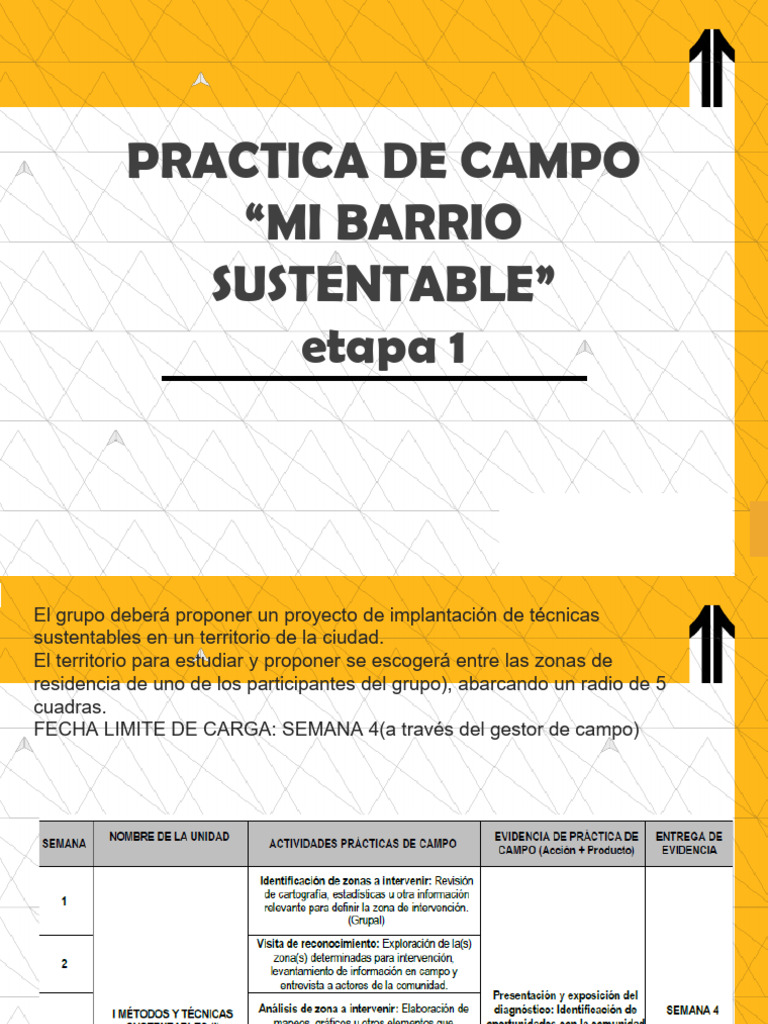 Practica de Campo Etapa 1.2024.1 | PDF | Ciencia y matemáticas