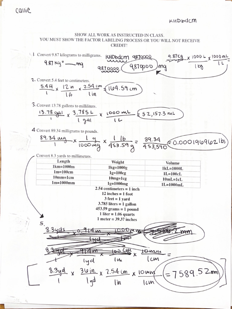 Show All Work As Instructed in Class | PDF