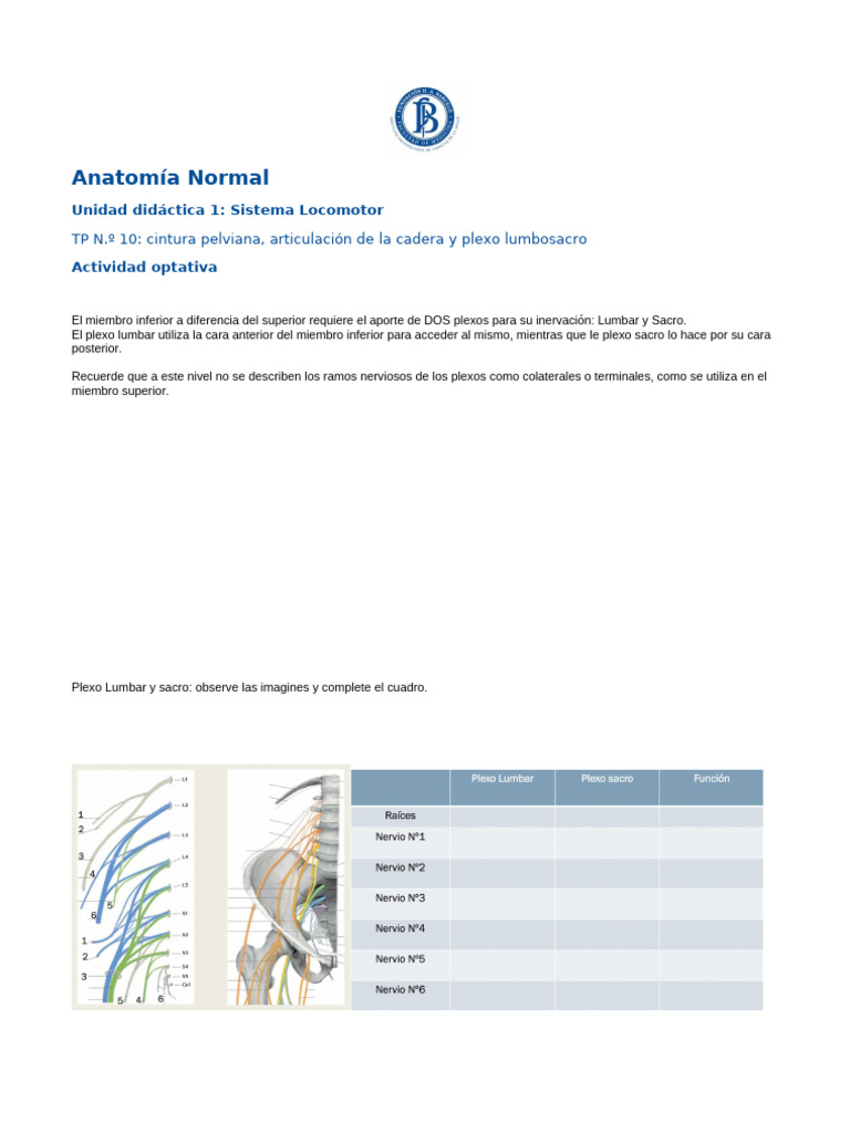 TP10 Aula | PDF