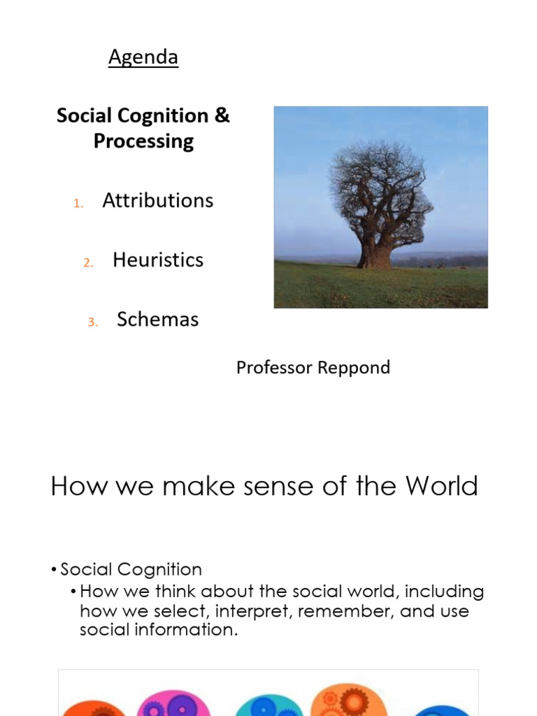 Understanding Social Cognition Concepts | PDF | Schema (Psychology ...