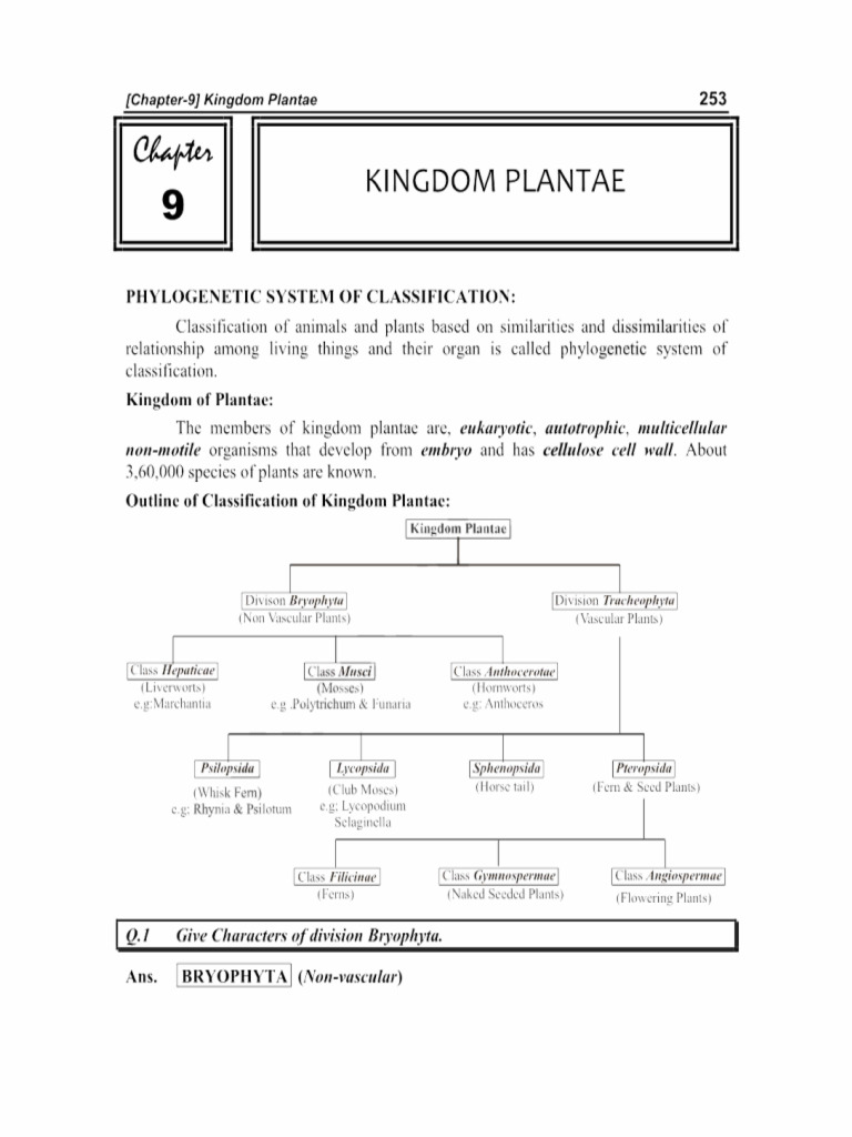 Chapter 9 Biology Notes 11th Class Long | PDF