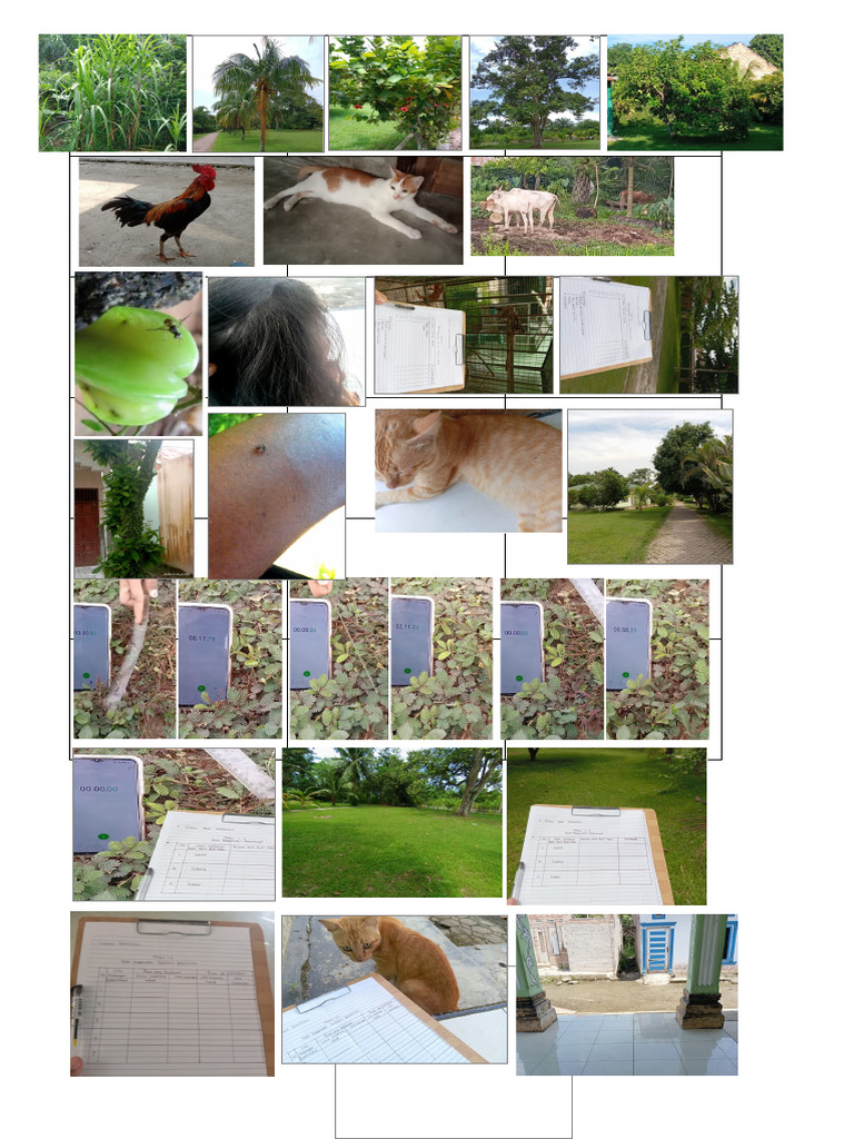 Print Gambar Ipa Kertas Hvs | PDF