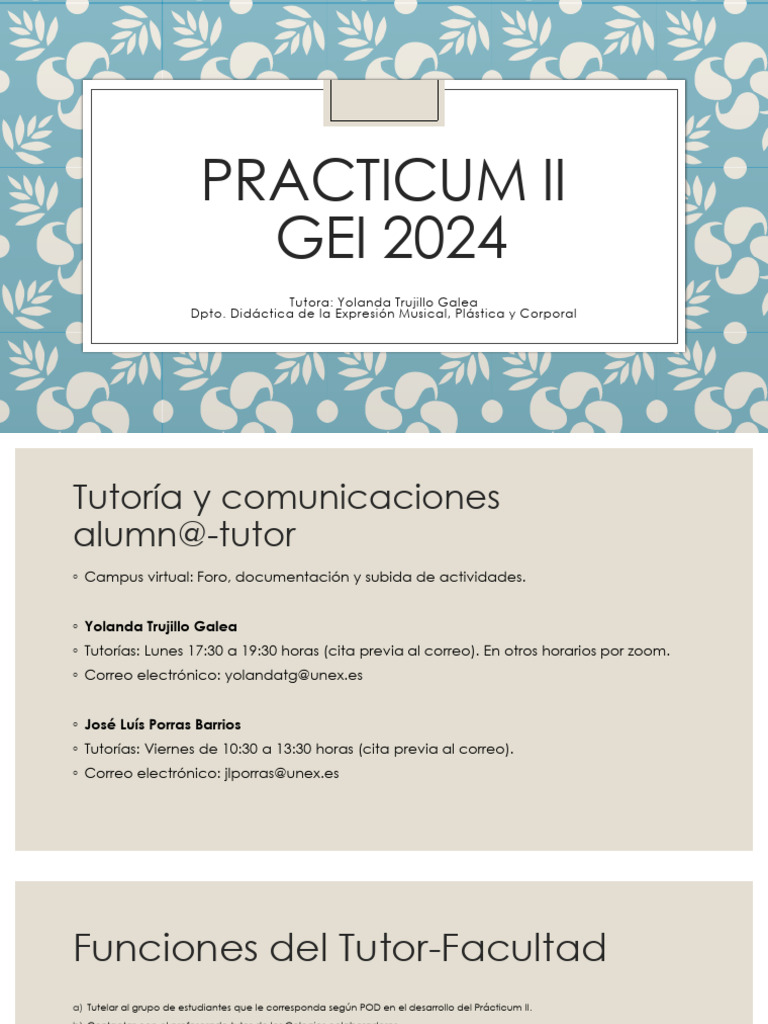 Presentación Practicum II 2024 | PDF | Evaluación | Maestros