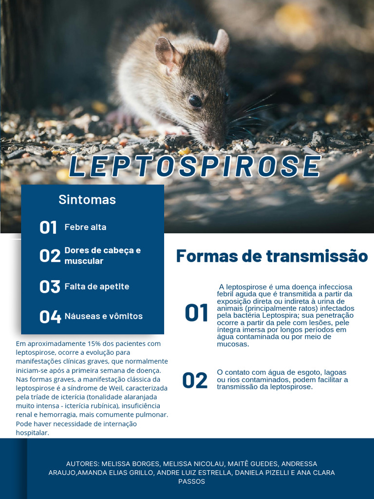 Panfleto Leptospirose | PDF | Ciências e Matemática
