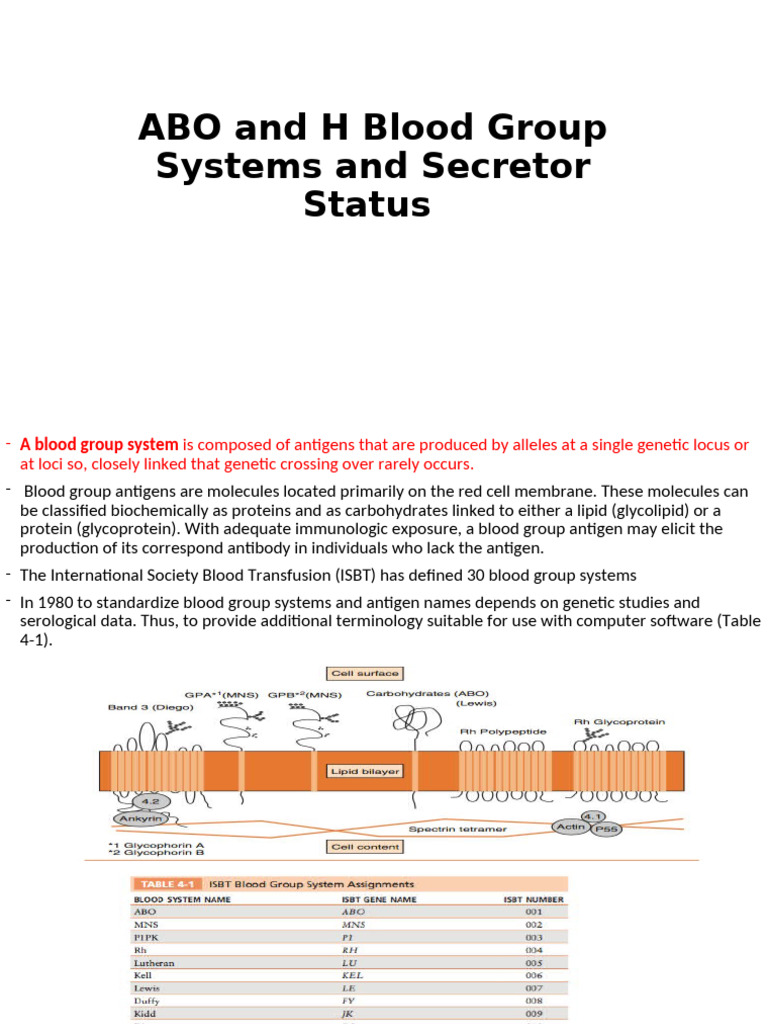 ABO Blood Typing System | PDF | Blood Type | Antibody