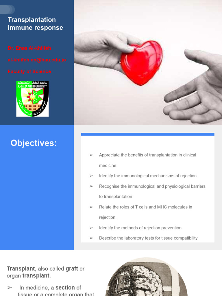 Transplantation Immune Response | PDF | Transplant Rejection | Major ...