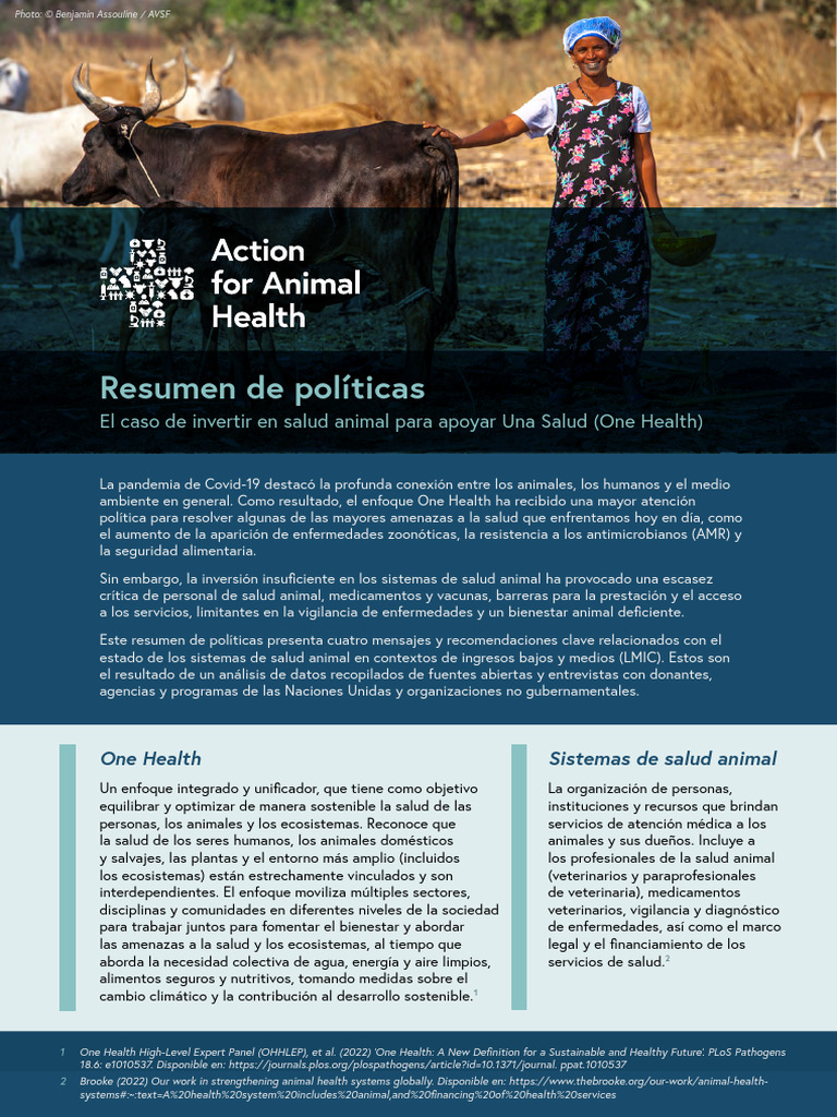 A4AH Policy Brief Spanish Final | PDF