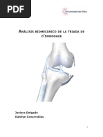 GUIA N 2 - Ejercicios de Codman | PDF | Hombro | Sistema musculoesquelético