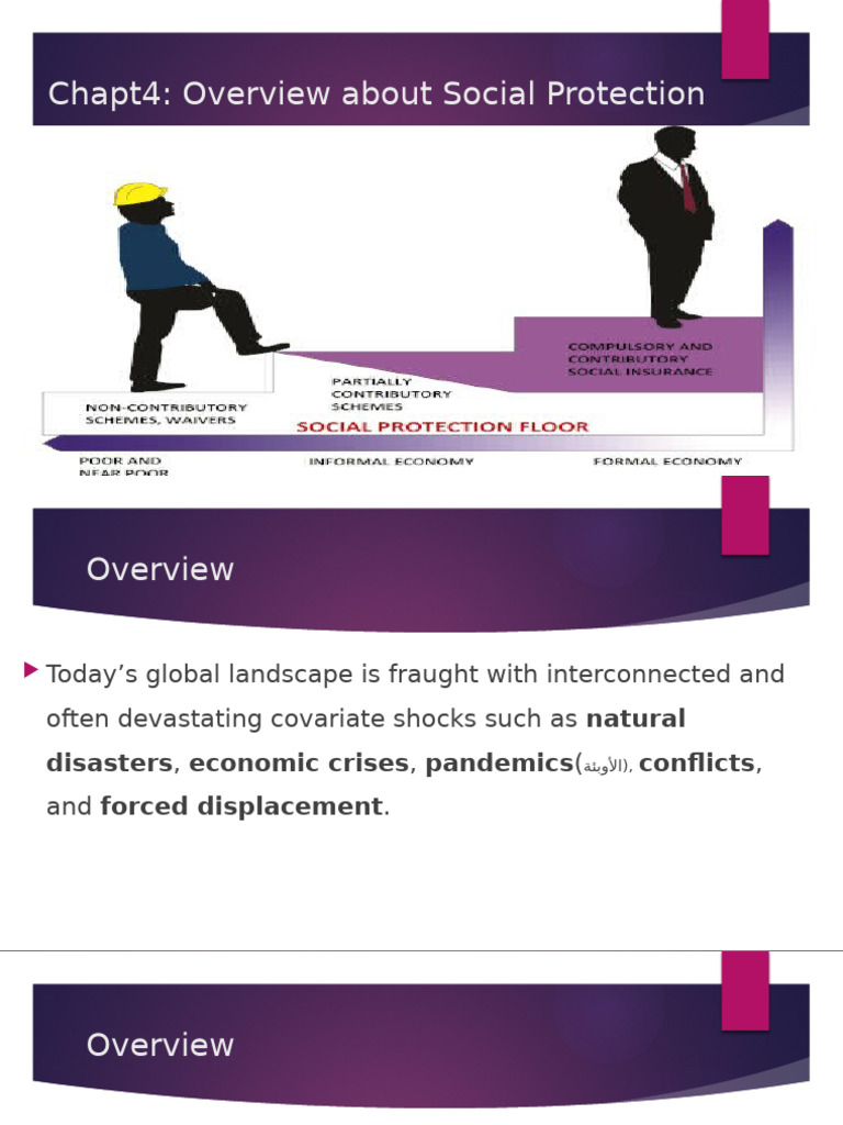 Chapt4 Overview About Social Protection | PDF | Social Protection | Climate Resilience