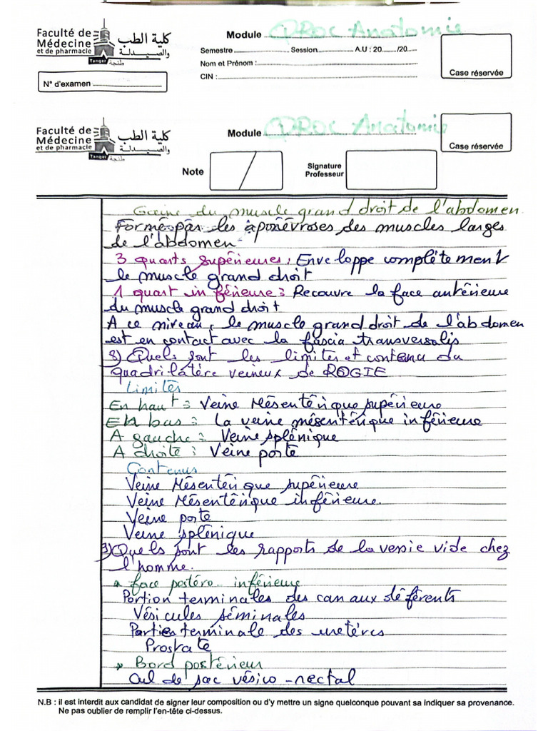 QROC Anatomie 2 Des Examens | PDF