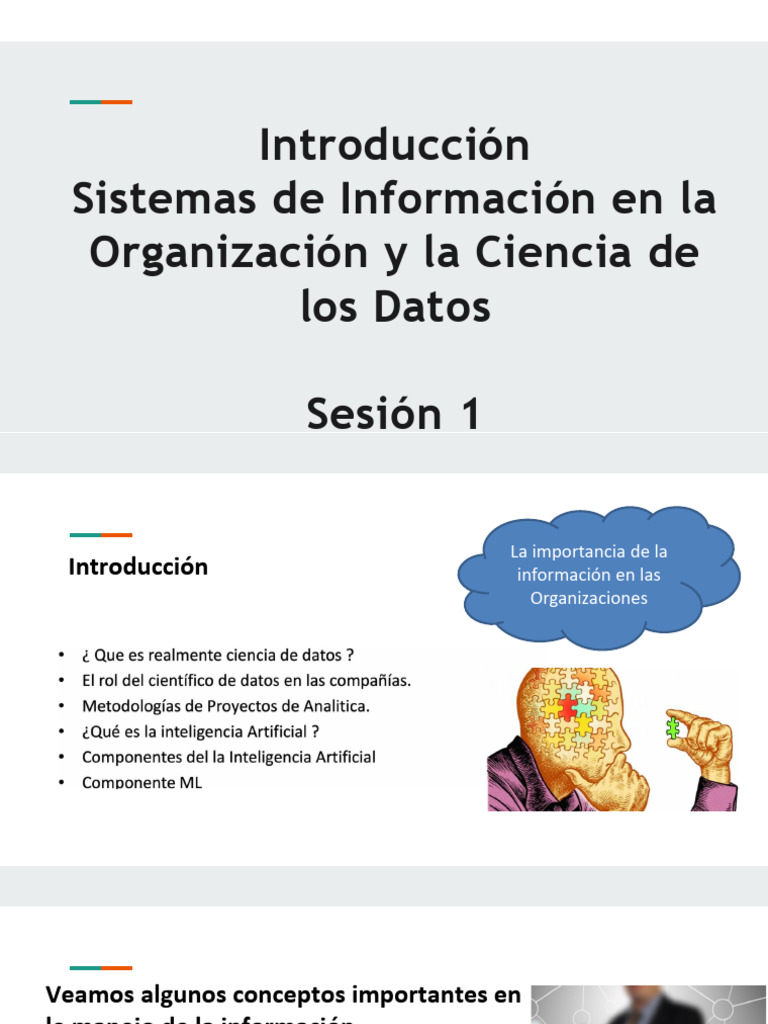 Clase 1 - Sistemas de Información en La Organización | PDF