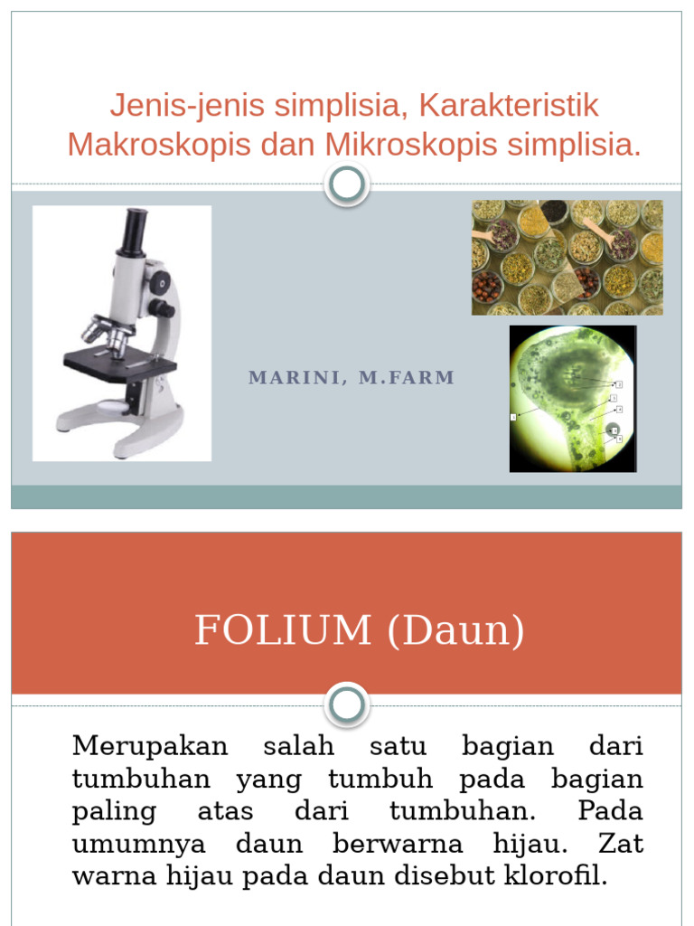 Karakteristik Makroskopis dan Mikroskopis Simplisia | PDF