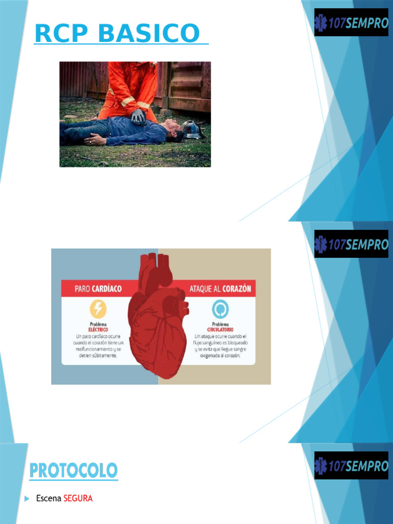 RCP BASICO 2024 Remixado | PDF